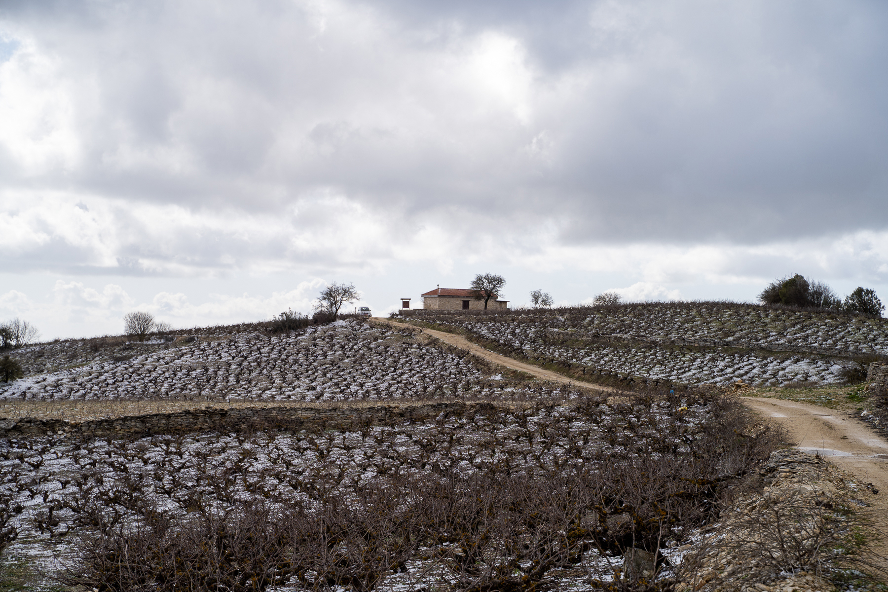 Vouni Panagias Trail | HikingClub