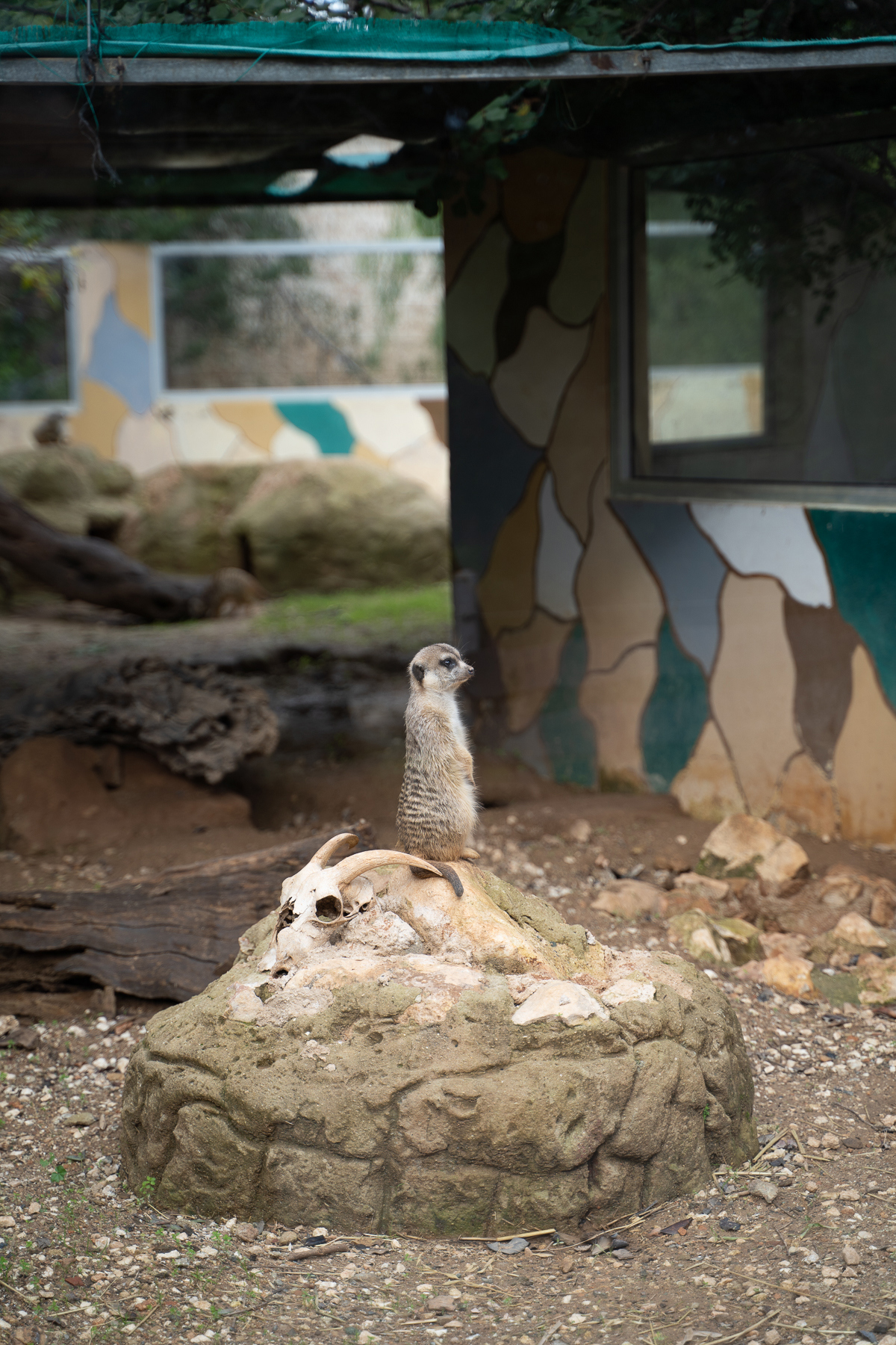 Paphos Zoo | HikingClub