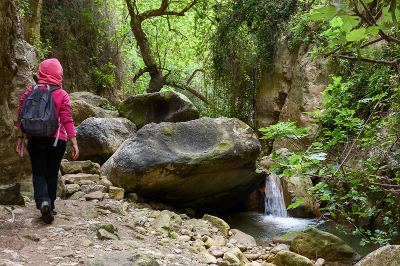 Avakas Gorge | HikingClub